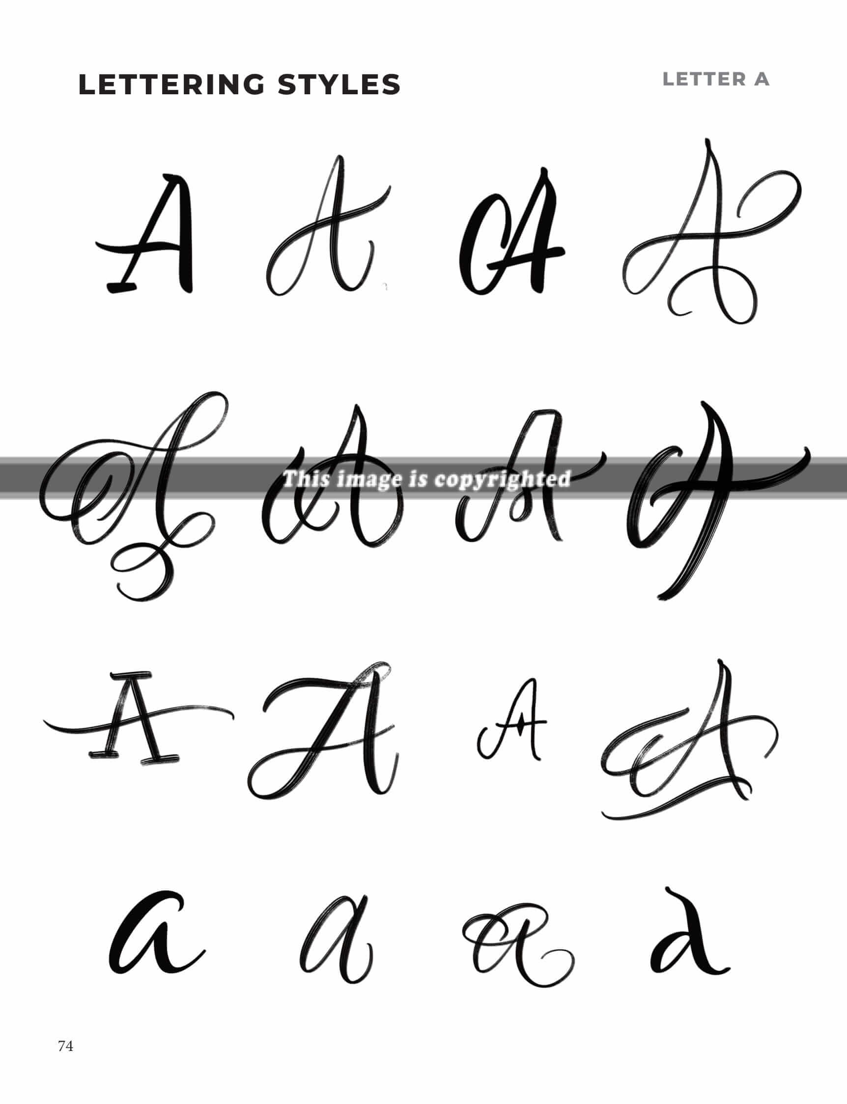 Modern Calligraphy & Hand Lettering - Special Art Books